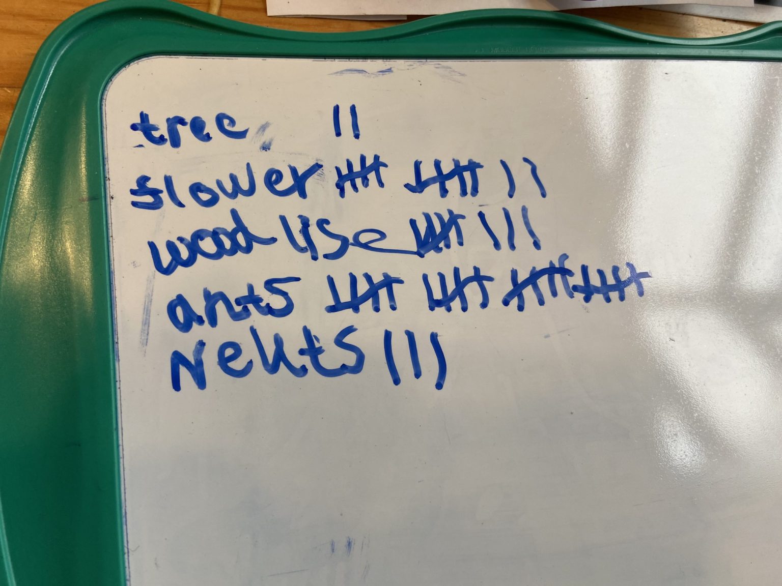 Tally charts and Bar graphs - Time and Tide Bell