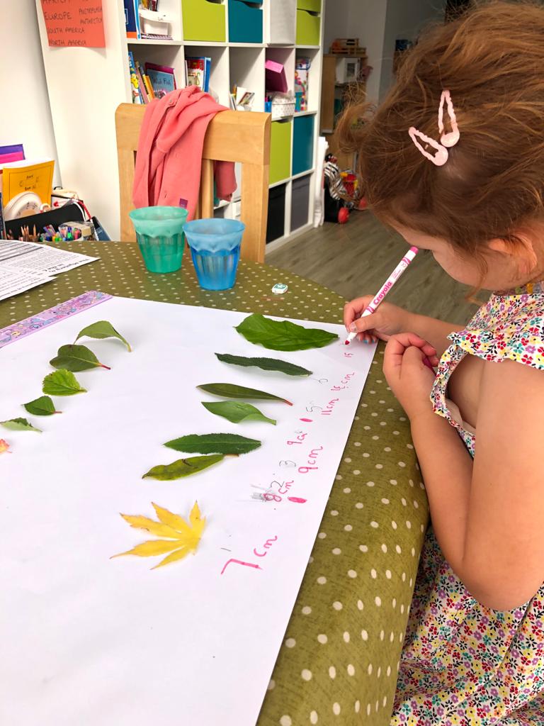 Leaf maths! - Time and Tide Bell