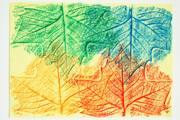 Tree rubbings - Time and Tide Bell