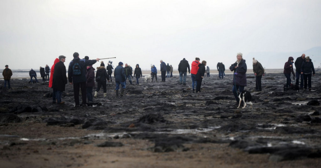 Redcar Mudstone formation and the Petrified Forest - Time and Tide Bell