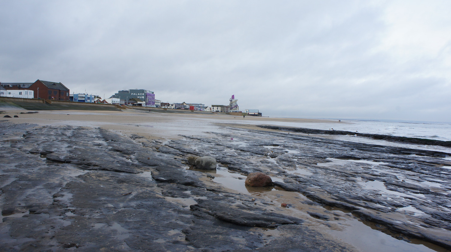 Redcar Mudstone formation and the Petrified Forest - Time and Tide Bell