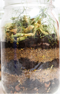 DIY wormery - Time and Tide Bell